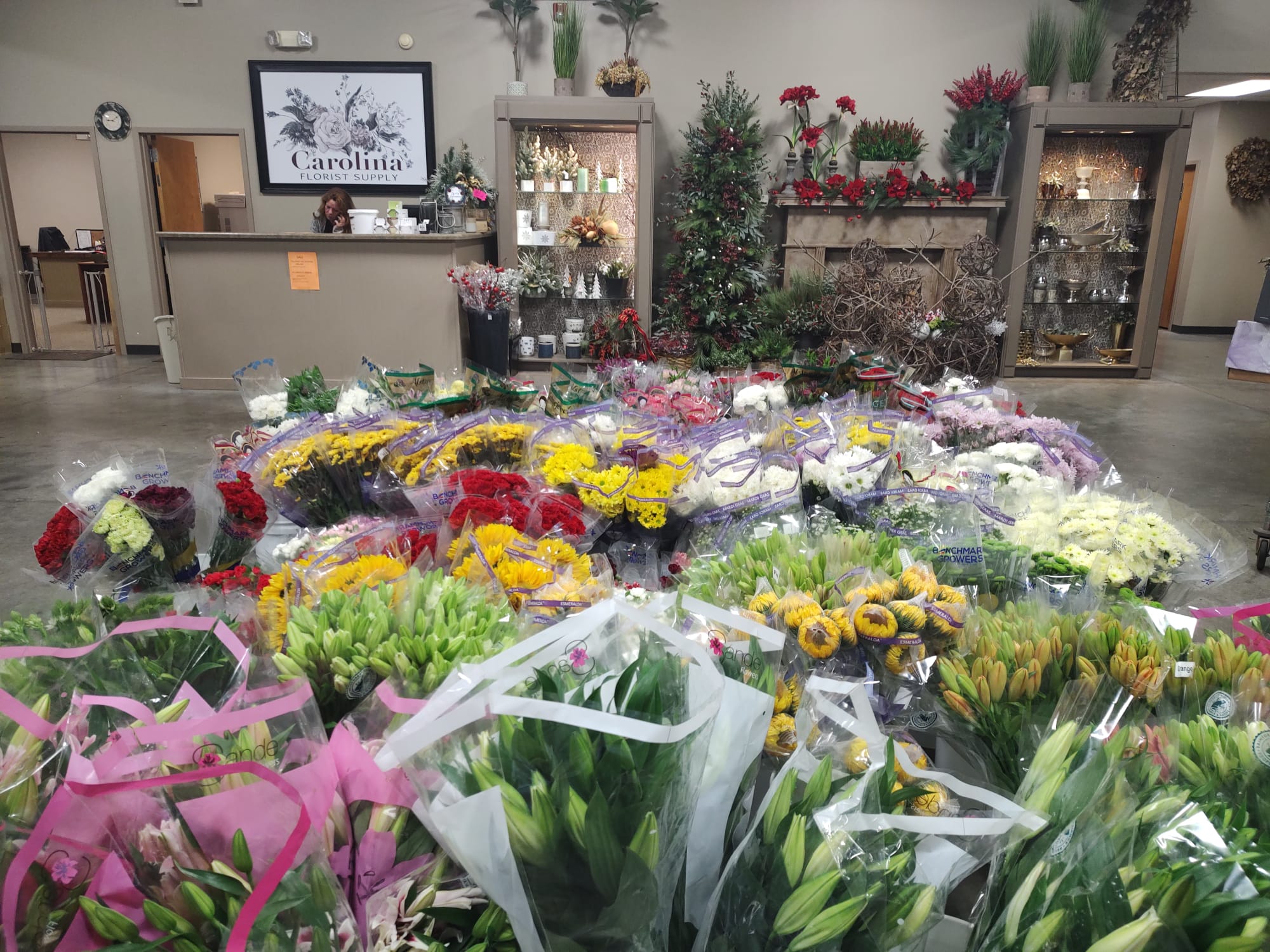 Starting in June of 1999, we began Carolina Florist Supply with a ...