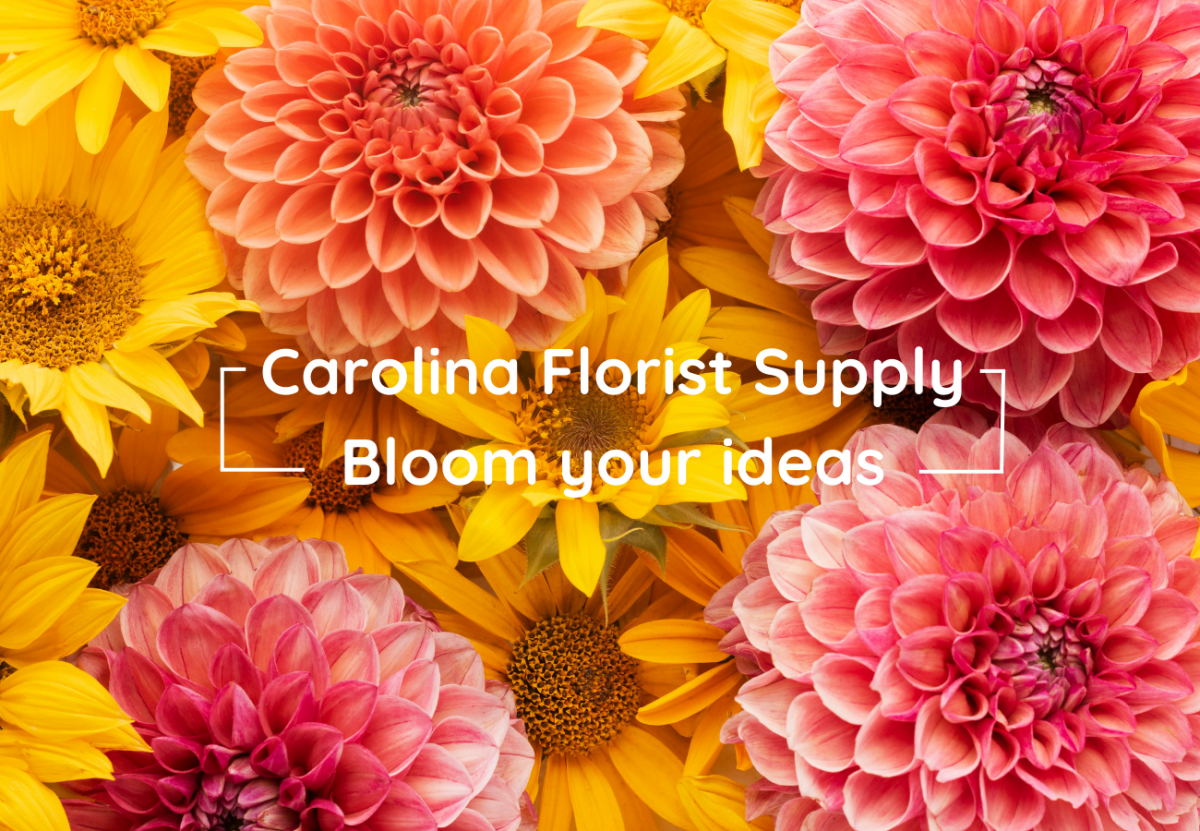 Carolina Florist Supply – Fresh Flower and Floral Supplies Wholesaler ...