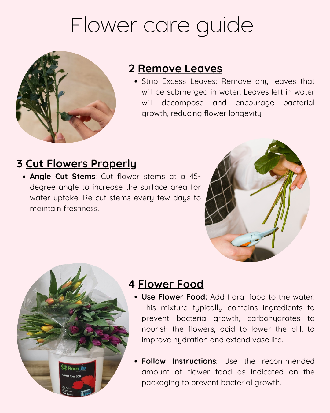 Flower Care Guide – Carolina Florist Supply