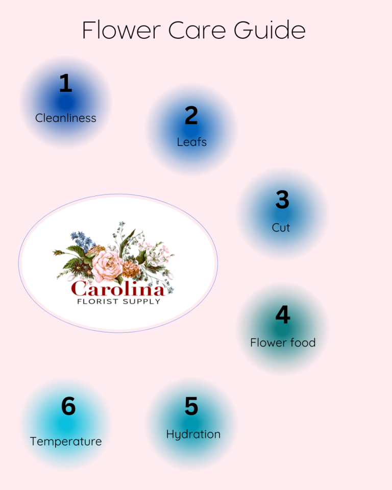 Flower Care Guide – Carolina Florist Supply