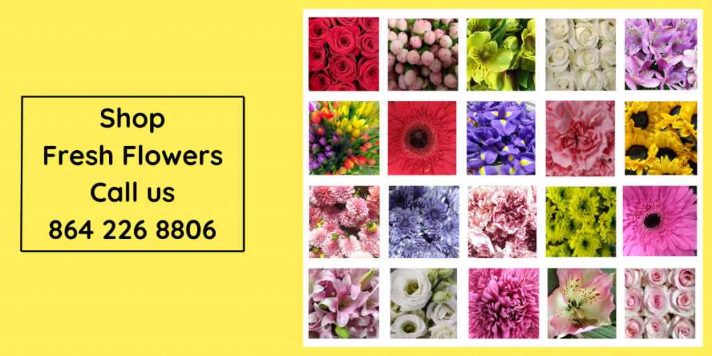 Carolina Florist Supply – Fresh Flower and Floral Supplies Wholesaler ...