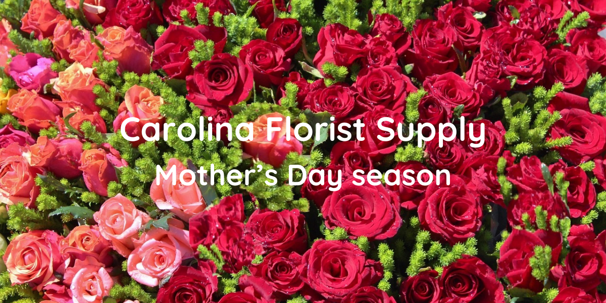 Carolina Florist Supply – Fresh Flower and Floral Supplies Wholesaler ...