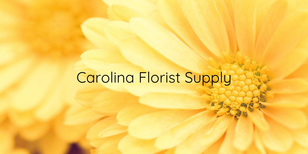 Carolina Florist Supply – Fresh Flower and Floral Supplies Wholesaler ...