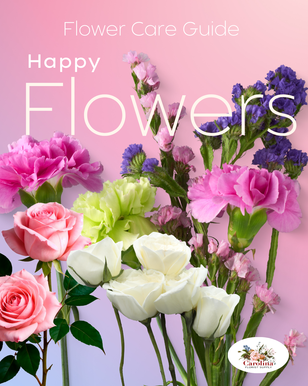 Carolina Florist Supply – Fresh Flower and Floral Supplies Wholesaler ...
