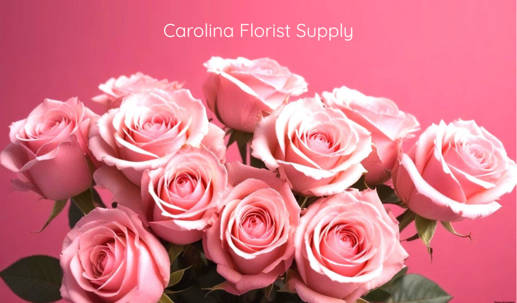 Carolina Florist Supply – Fresh Flower and Floral Supplies Wholesaler ...